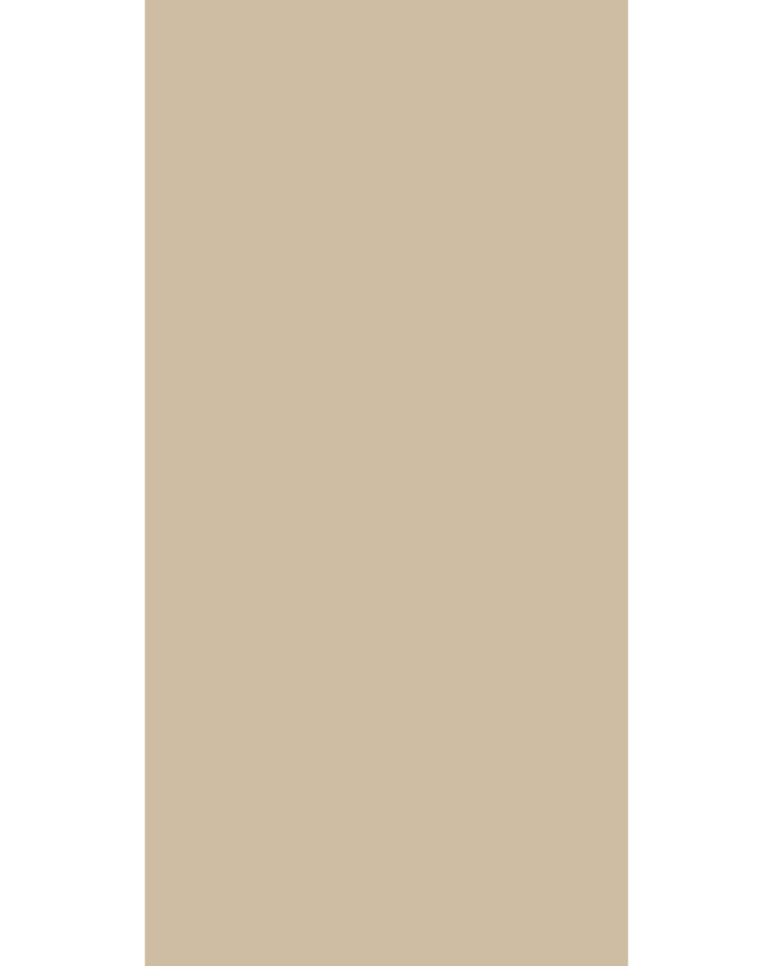 Buy Beige Colour Decorative Laminate Sheet with Suede Finish